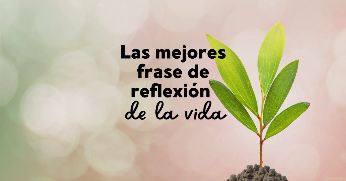 Las palabras se las lleva el viento: significado y reflexiones ...